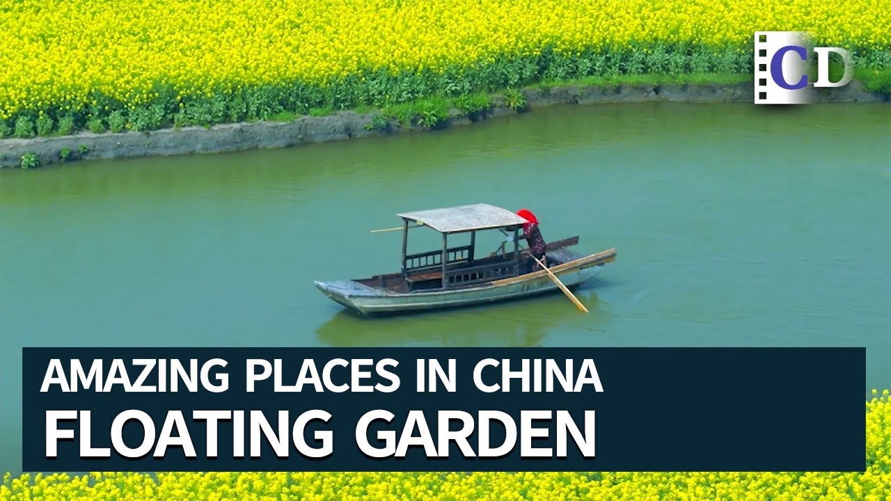 Boating in the Miracle Floating Garden | Amazing Places in China - YouTube
