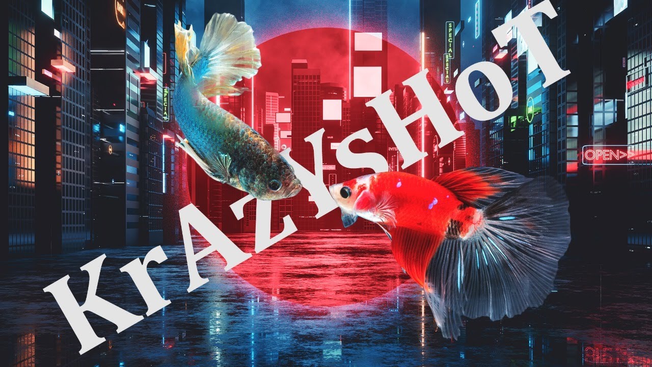 EVENT MWII🔮💎🏮🕹 KrAzYsHoT666🕹🏮💎🔮99% ACTITUD 1% TALENTO - YouTube