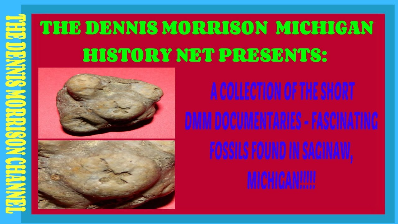 DENNIS MORRISON'S MICHIGAN HISTORY NET: FASCINATING FOSSILS - YouTube