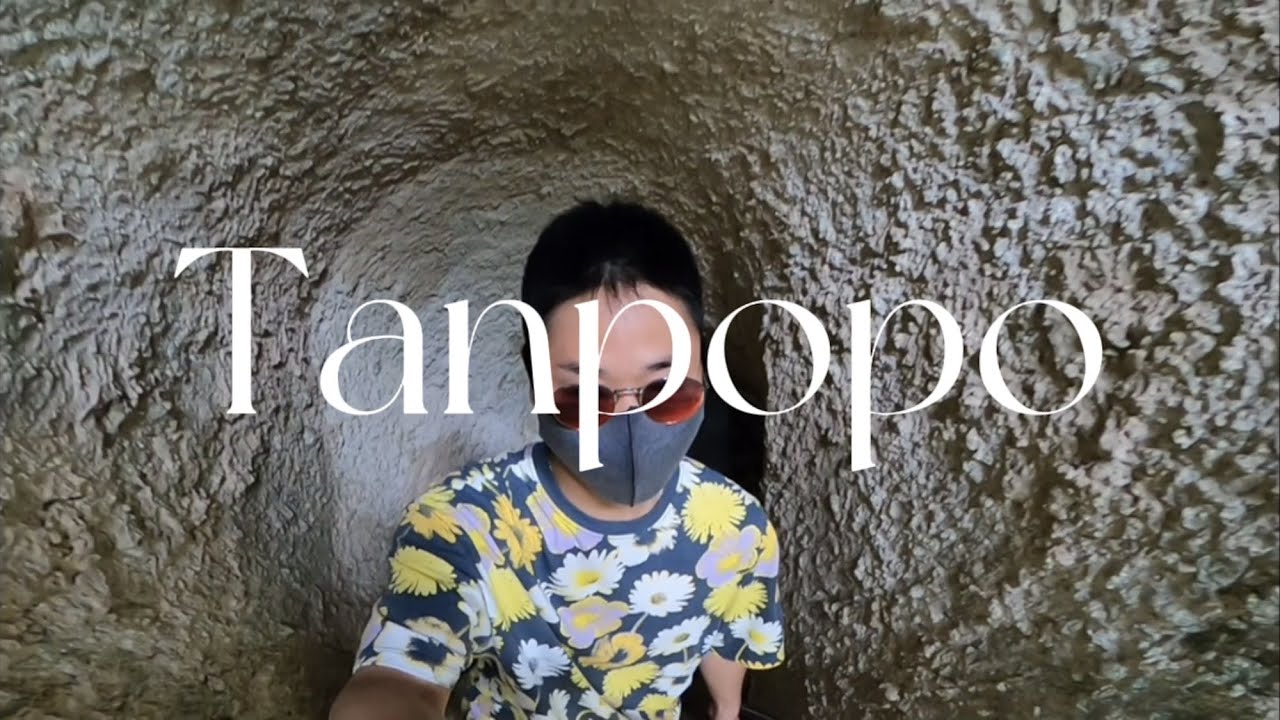 Tanpopo【オリジナル曲】 - YouTube