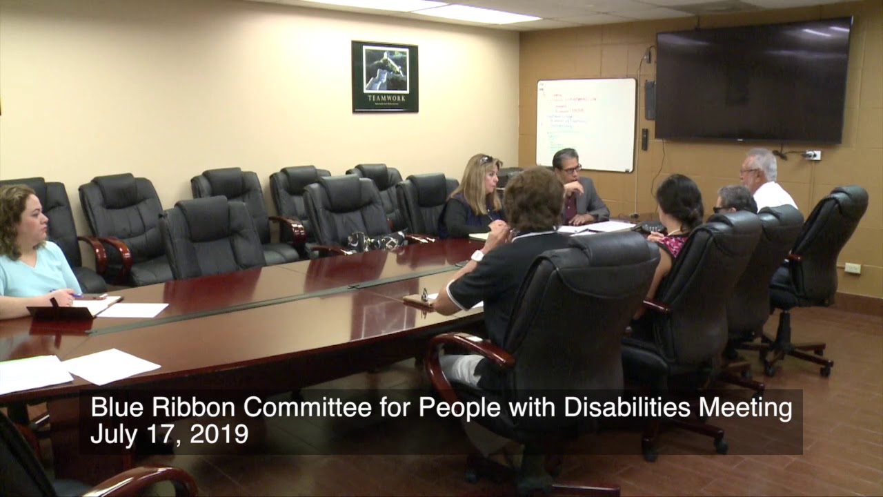 Blue Ribbon Committee for People with Disabilities Meeting, 07/17/2019 ...