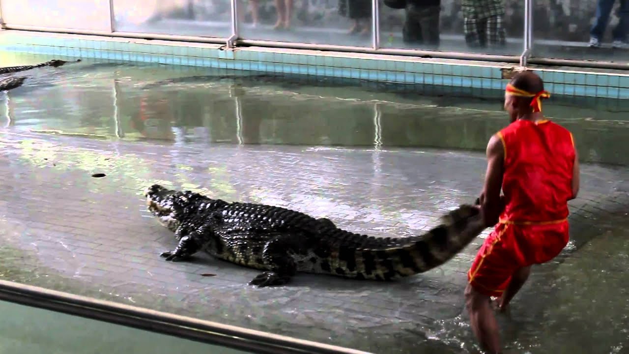 The Million Years Stone Park & Pattaya Crocodile Farm (Part 2/4) - YouTube