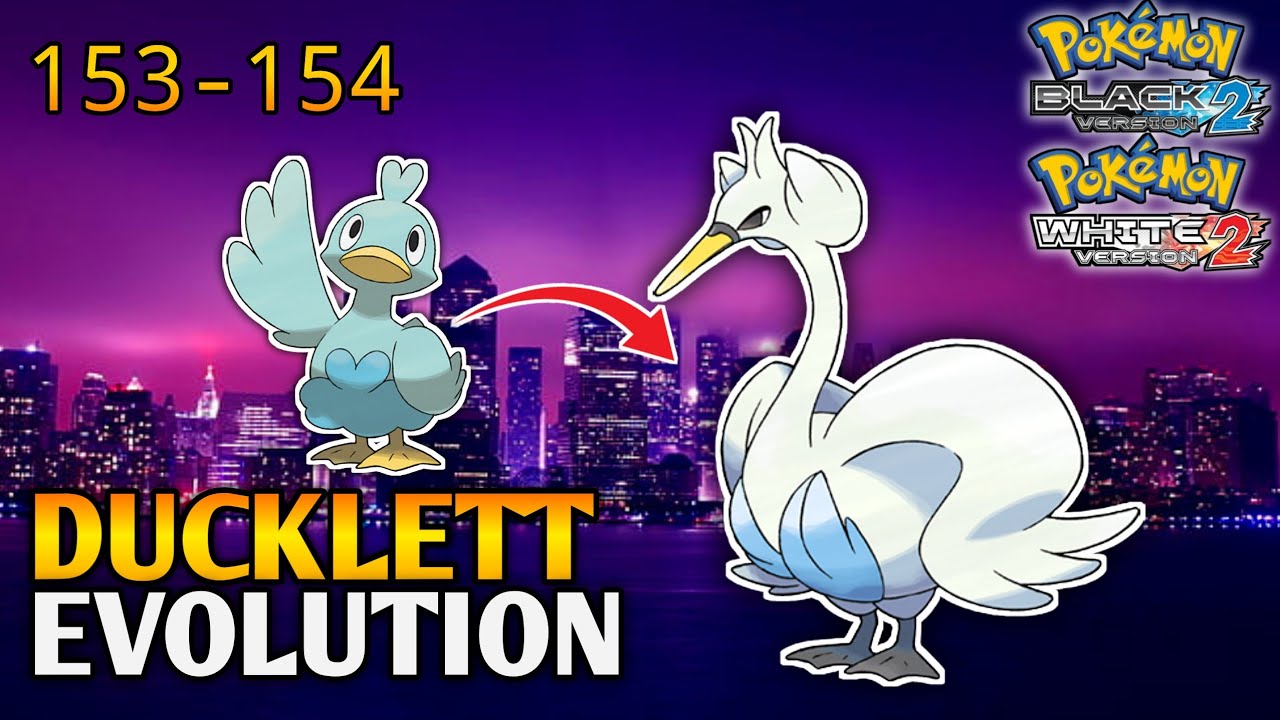 How To Evolve Ducklett Into Swanna In Pokemon Black 2 & White 2 | Unova ...