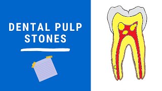 Structure Of Teeth in Hindi | Enamel | Dentin | Pulp | ... | Doovi