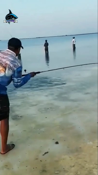 Mancing mania, strike ikan Talang-talang di pinggiran pantai #fishing - YouTube