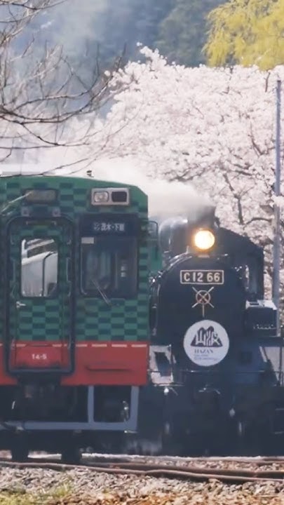 【2022🌸市塙駅】真岡鉄道C12-66「SLもおか」普通電車と交換 Moka-Railway Steam locomotive class C12 'SL Moka' in 2022 ...