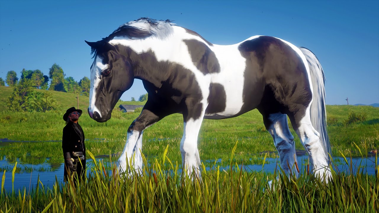 Arthur Morgan Tames a Huge Gypsy Cob Horse in the Heartlands | RDR2 ...