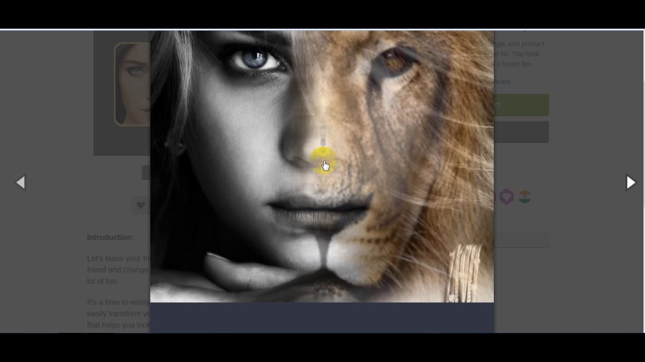 FotoMix Animal Face Morphing free Downoad - YouTube