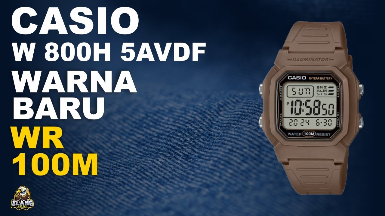 CASIO W 800H 5AVDF : JAM TANGAN CASIO WR 100M WARNA BARU (2024) - YouTube