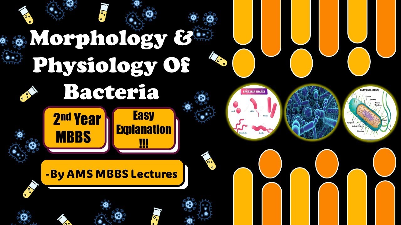 Morphology and Physiology of Bacteria| Overview| General Microbiology ...