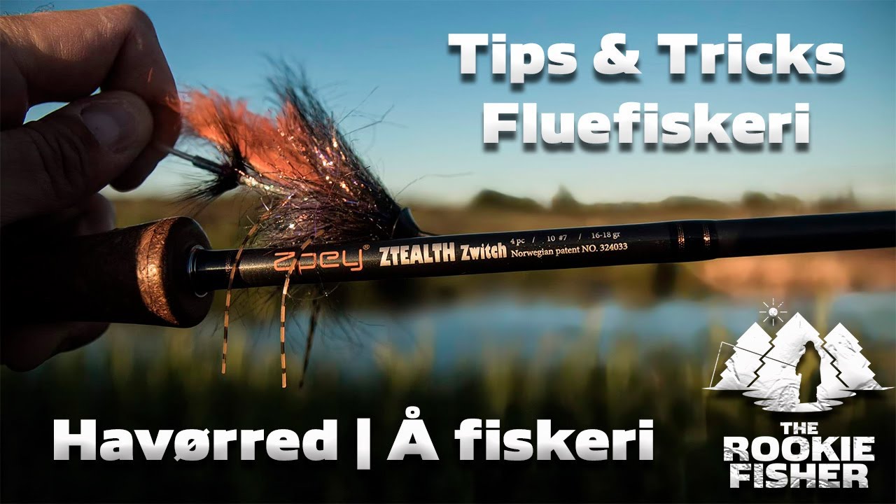 Fluefiskeri Havørred | Tips & Tricks | Å fiskeri | Per Gylling Zpey ...