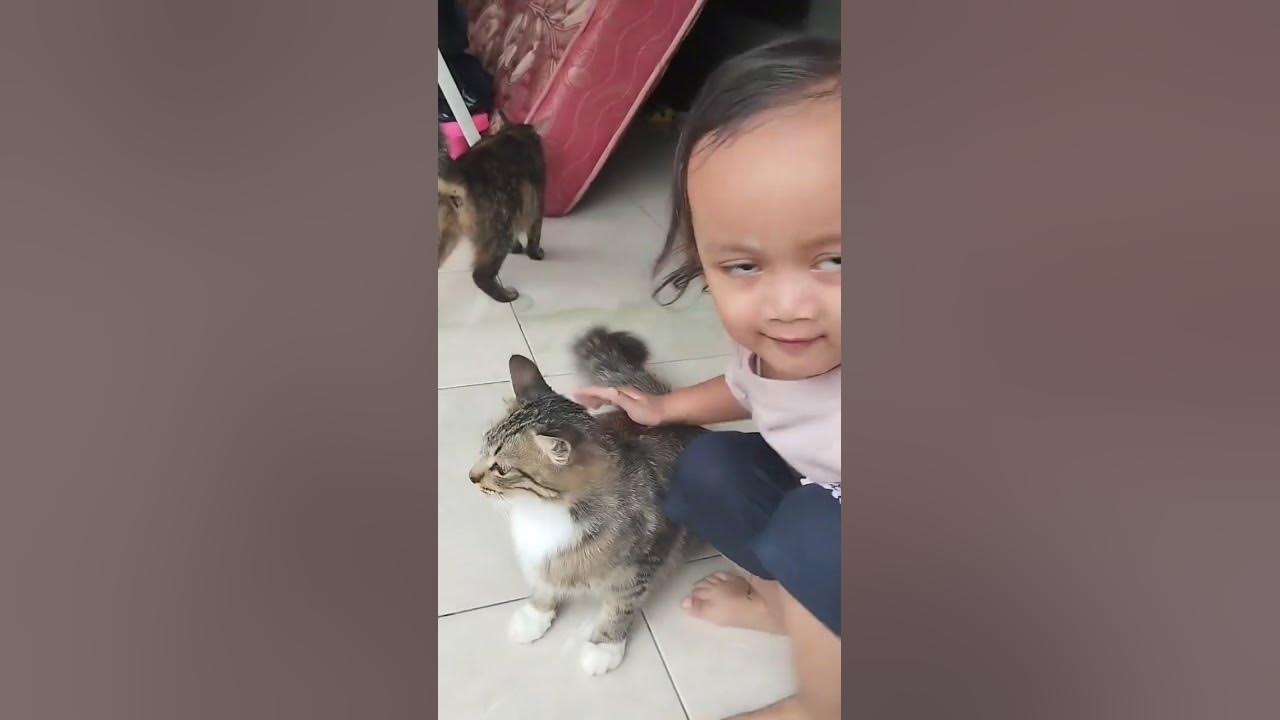 Sayang embul#shorts - YouTube