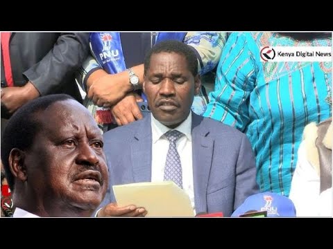 PNU Party leader Peter Munya castigates ODM for playing politics of ...