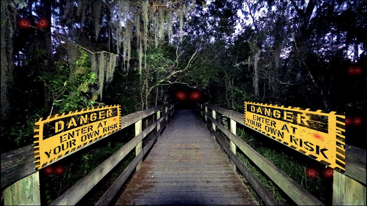 THE SWAMP COMES ALIVE AT NIGHT! (spooky) (vlog 99) - YouTube