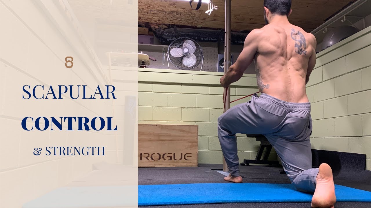 6 Exercises for Scapular Control and Strength - YouTube