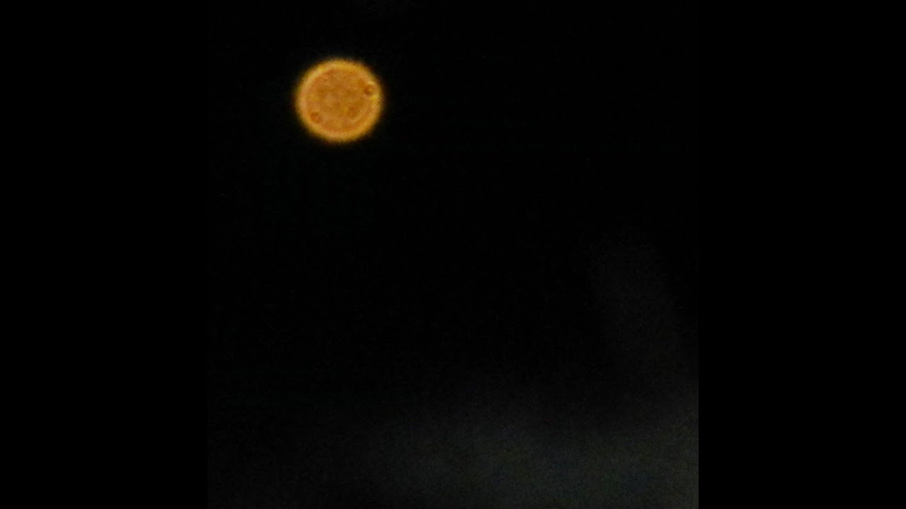 Orbs..Aliens, Ghosts, Spirits or just Energy? Orange Orb with Face ...