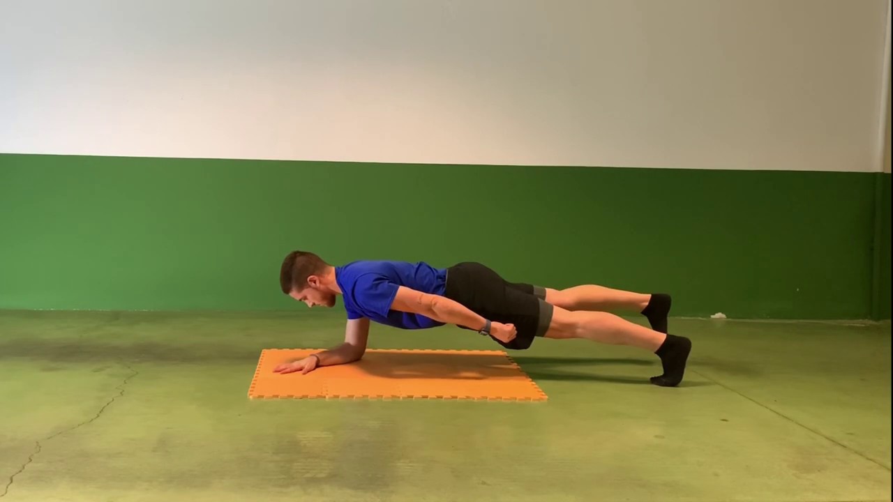 Short-lever 2point plank (plank position bird-dog) - YouTube