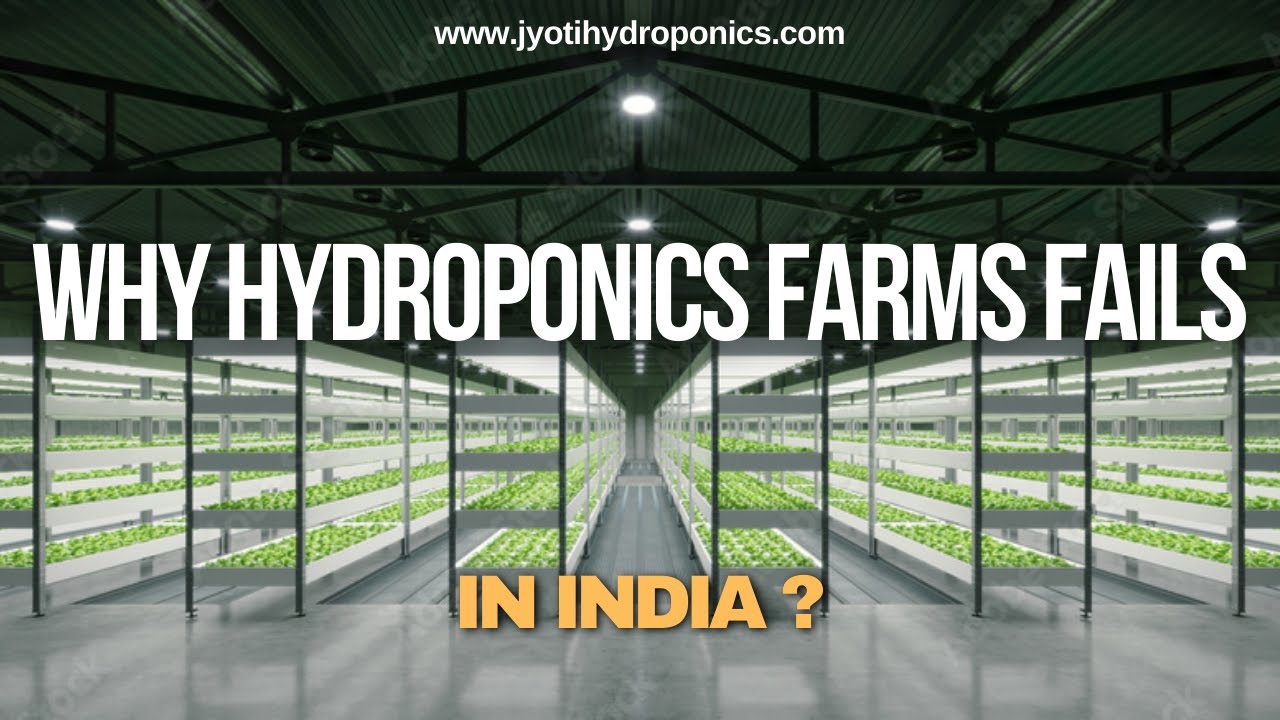 Why Hydroponics Farms Fails? | 7 Reasons Hydroponic Farm Businesses ...