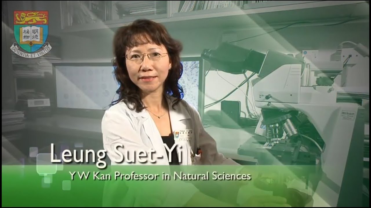 Y W Kan Professorship in Natural Sciences - Professor Leung Suet-Yi ...