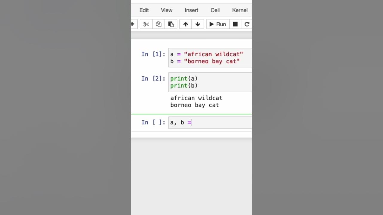 Python Trick | Swap Vars in Single Line of Code - YouTube