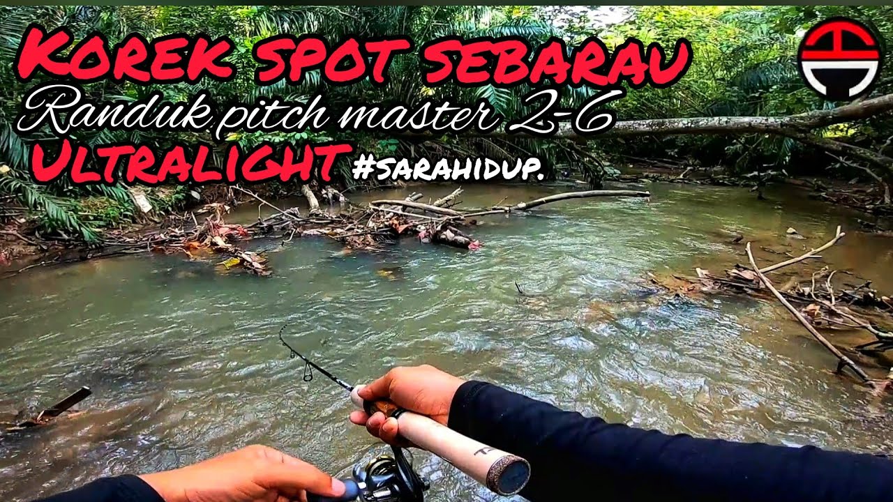 Best giler rod ni / Seahawk Randuk Pitch Master 2-6lb/ Casting Sebarau ...