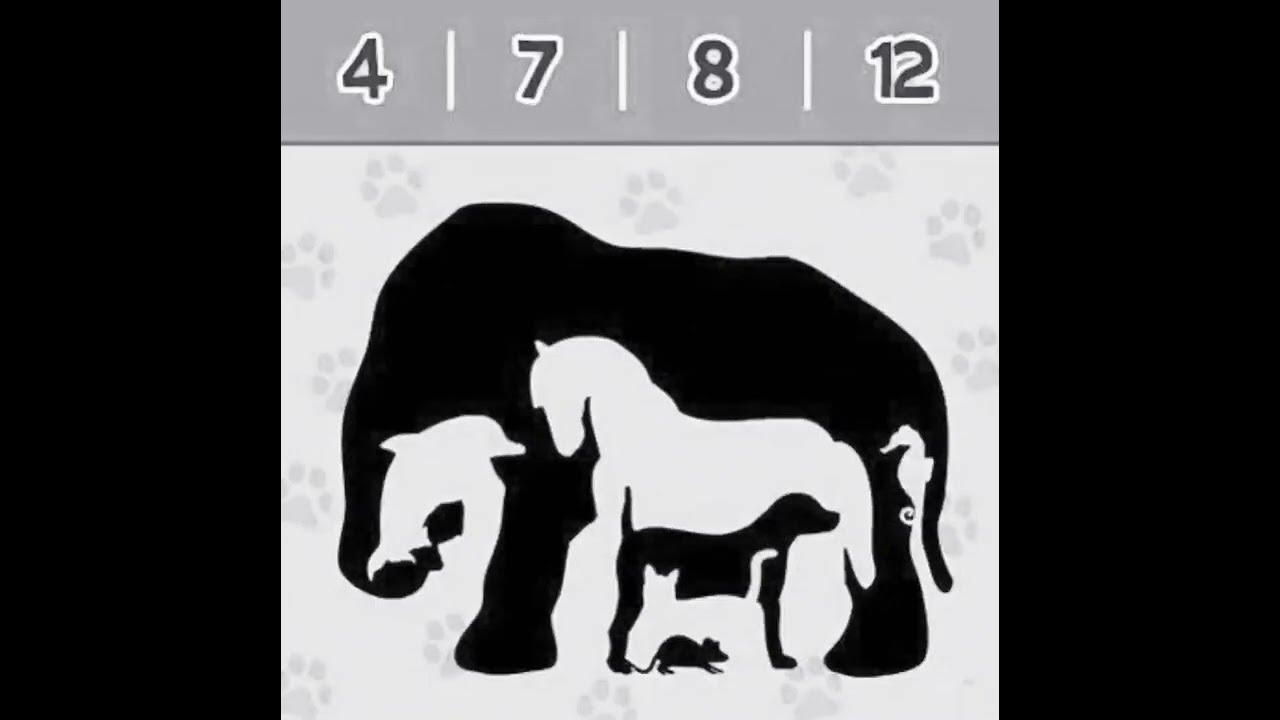 Solve Puzzles YouTube solve-puzzles-youtube