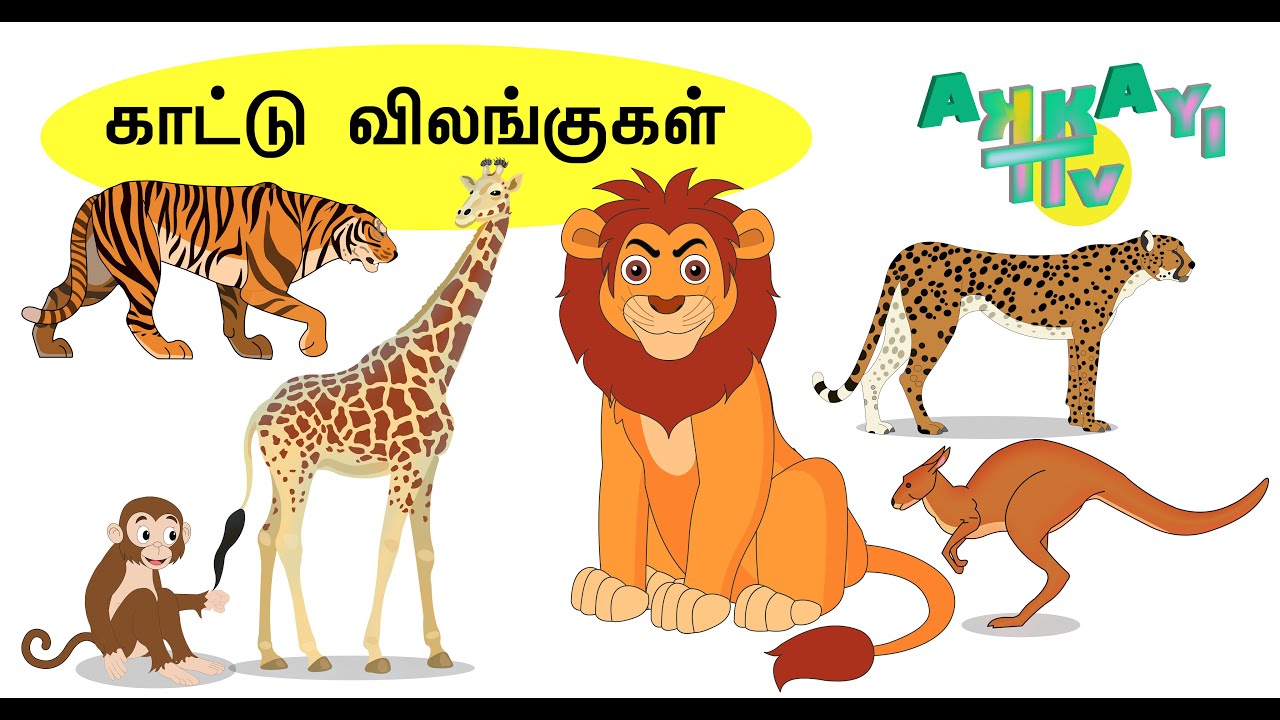 Learn Wild Animals Name In Tamil For Kids Akkayi learn-wild-animals-name-in-tamil-for-kids-akkayi
