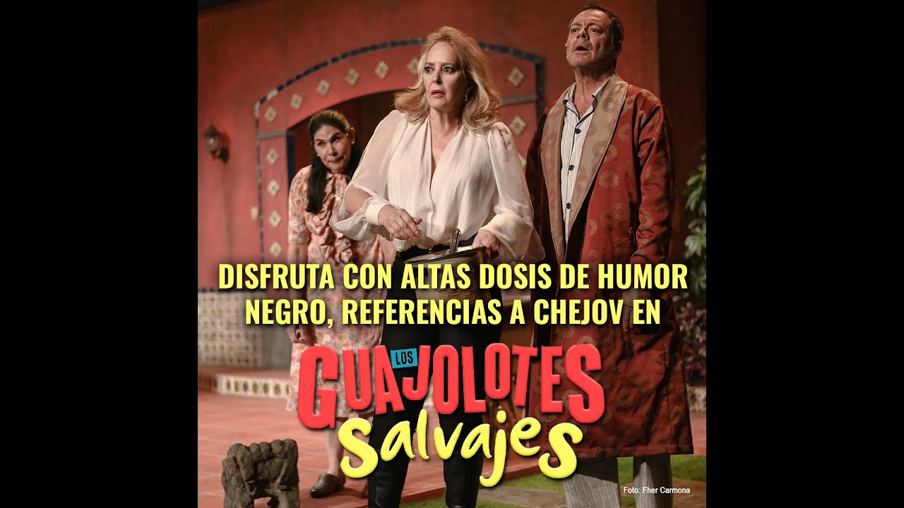 LOS GUAJOLOTES SALVAJES, la comedia ganadora de un premio Tony por ...