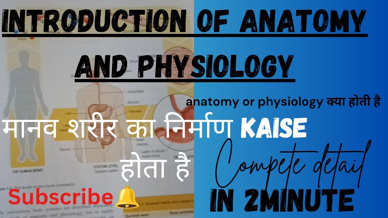 INTRODUCTION TO ANATOMY AND PHYSIOLOGY/WHAT IS ANATOMY AND PHYSIOLOGY ...