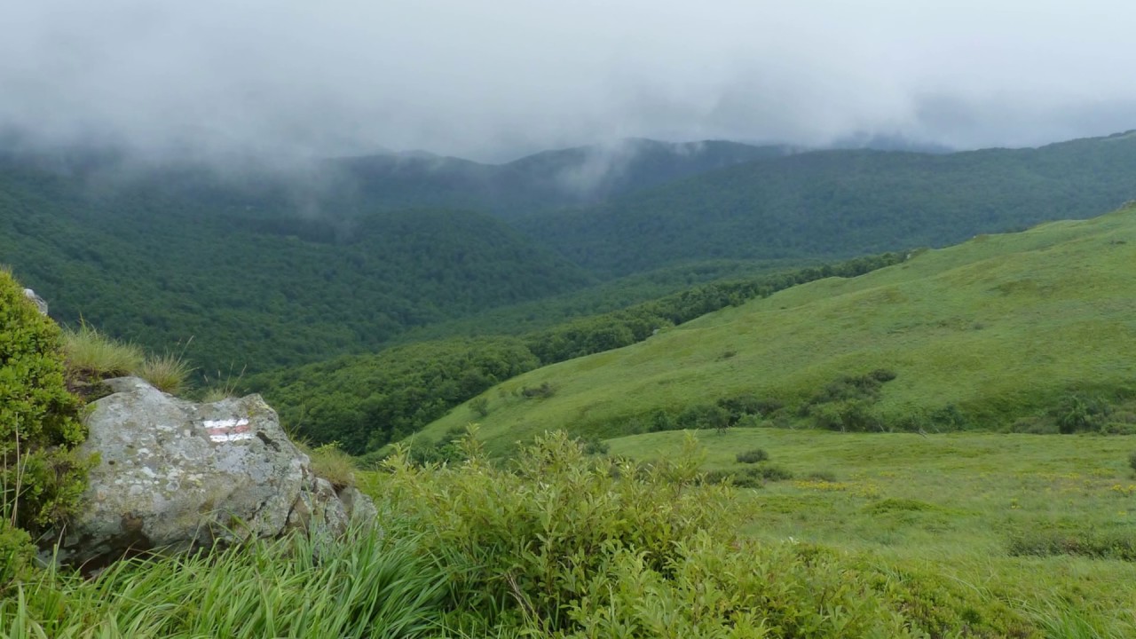 Bieszczady. Szlak z Wołosate przez Halicz i Tarnicę do Ustrzyk Górnych ...