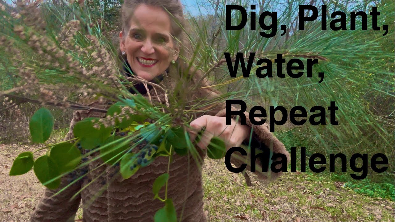 Winter Bouquet Challenge from Janey of “Dig, Plant, Water, Repeat ...