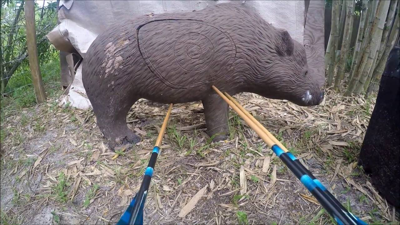 Traditional Archery practice - YouTube