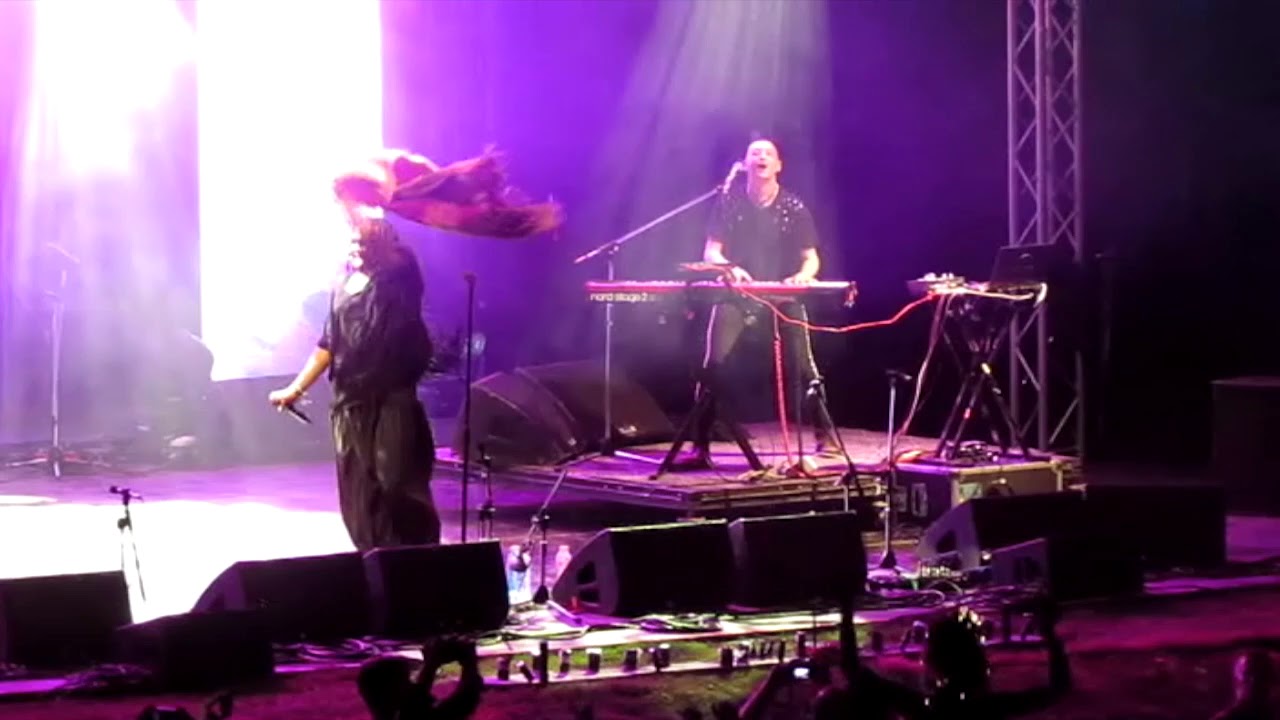 Electric Fields - 2000 and Whatever (Live at Woodford Folk Festival ...
