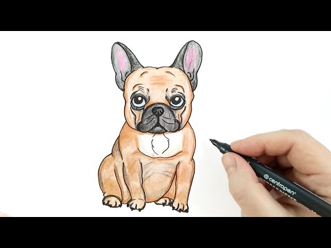 Рисуем собаку Французский бульдог