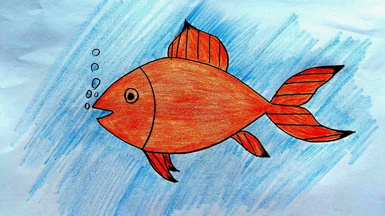 how to draw a fish for kids !! draw a fish step by step!! #fish - YouTube