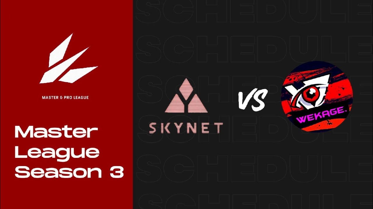 Tournaments: Master & Pro League Console Skynet VS WeKage - YouTube