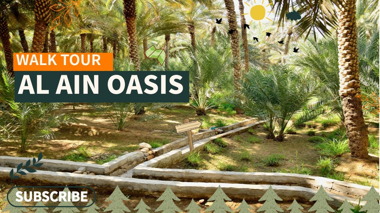 AL AIN OASIS - ABU DHABI WALK TOUR #alainoasis #oasis #walktour #viral ...