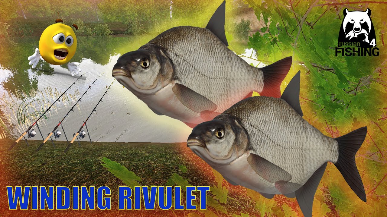 Russian Fishing 4 RF4 Winding Rivulet | Active spot Bream - YouTube