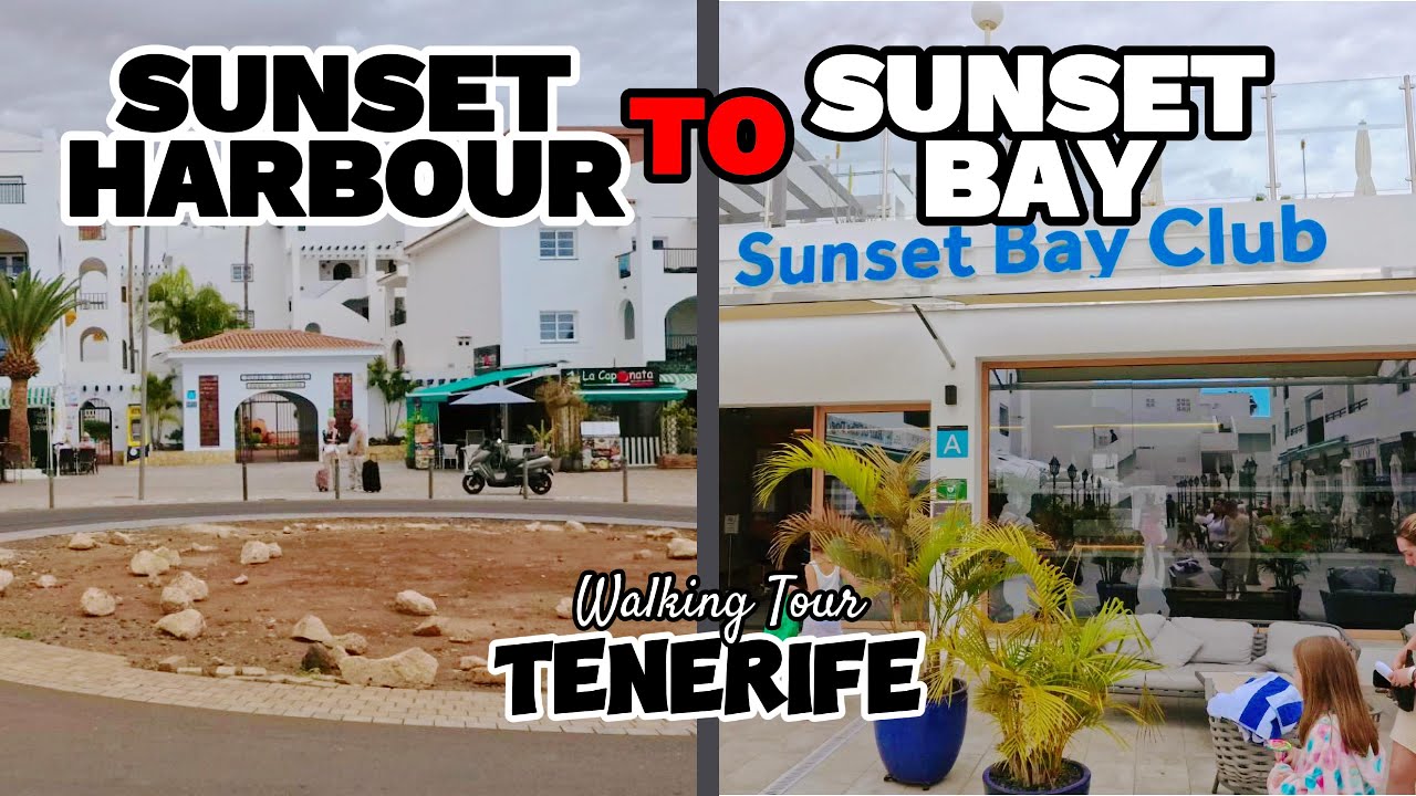 The Incredible Bars of Sunset Harbour & Sunset Bay YOU SHOULD VISIT ...