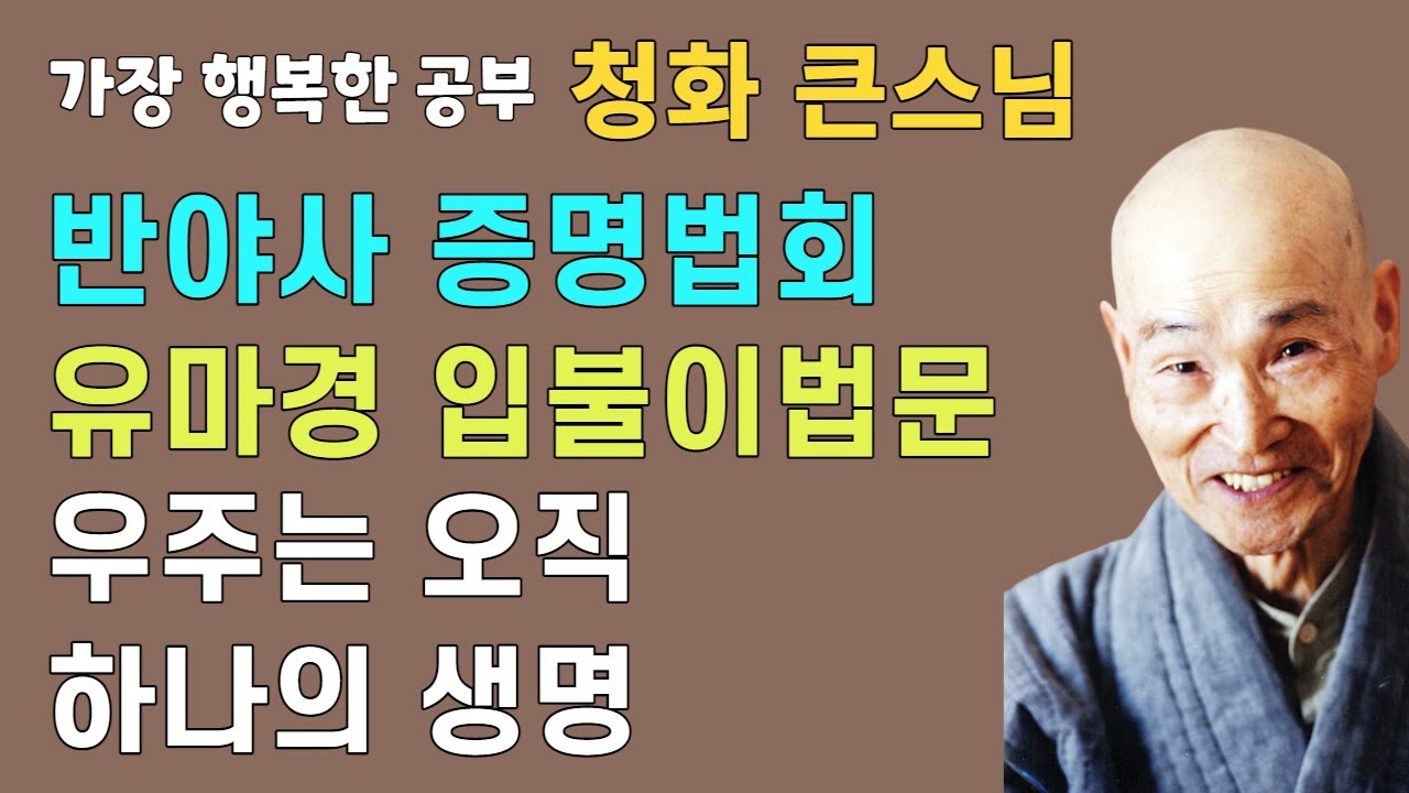 청화큰스님 법문 반야사 증명법회 19980518 유마경 입불이법문 우주는 오직 하나의 생명 불교공부 유마거사 불이문 반야바라밀 영가천도법어 청화스님 Youtube