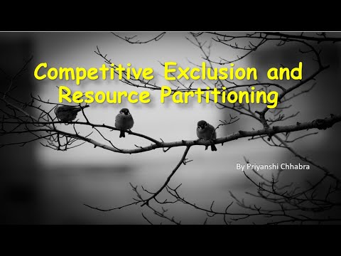 Competitive Exclusion and Resource Partitioning/ Ecology - YouTube
