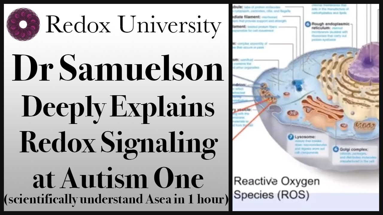 Dr Sameulson Best Redox Signaling Explanation Autism One - YouTube