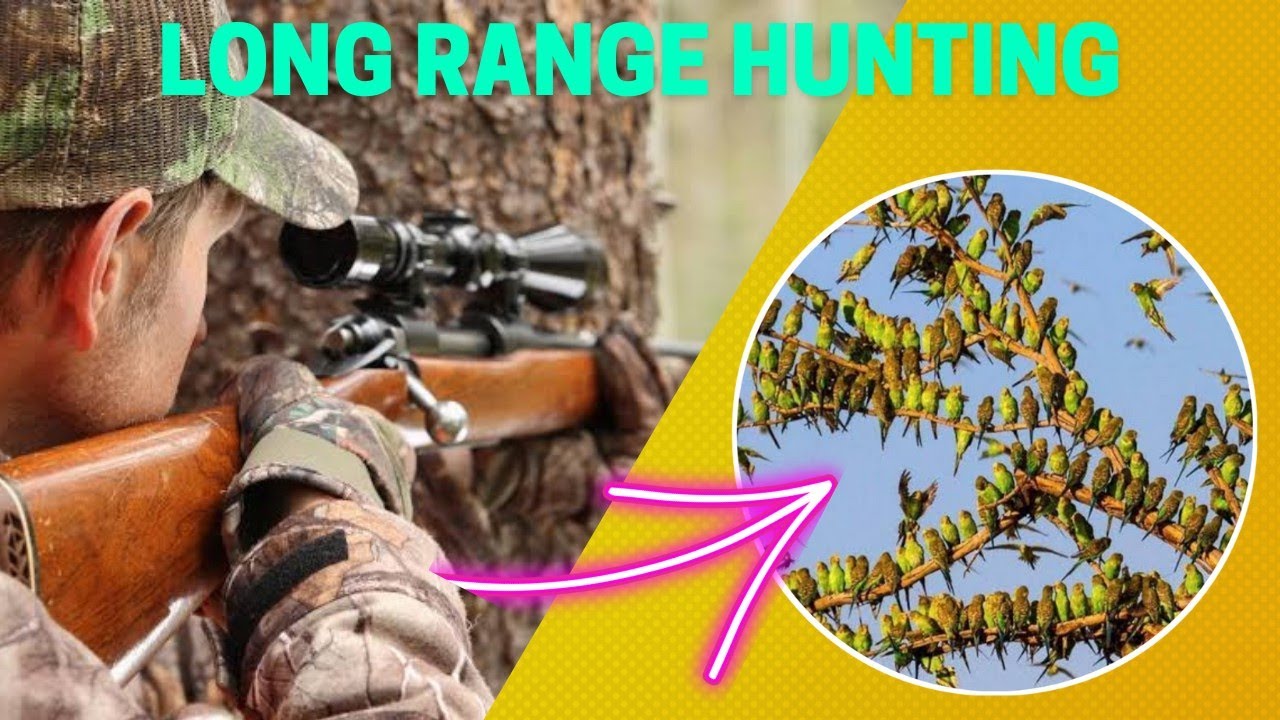 Incredible Bird Catch with a Slug | PH Hunting Stories - YouTube