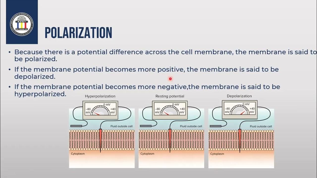 Lecture 5 part 3 1 - YouTube