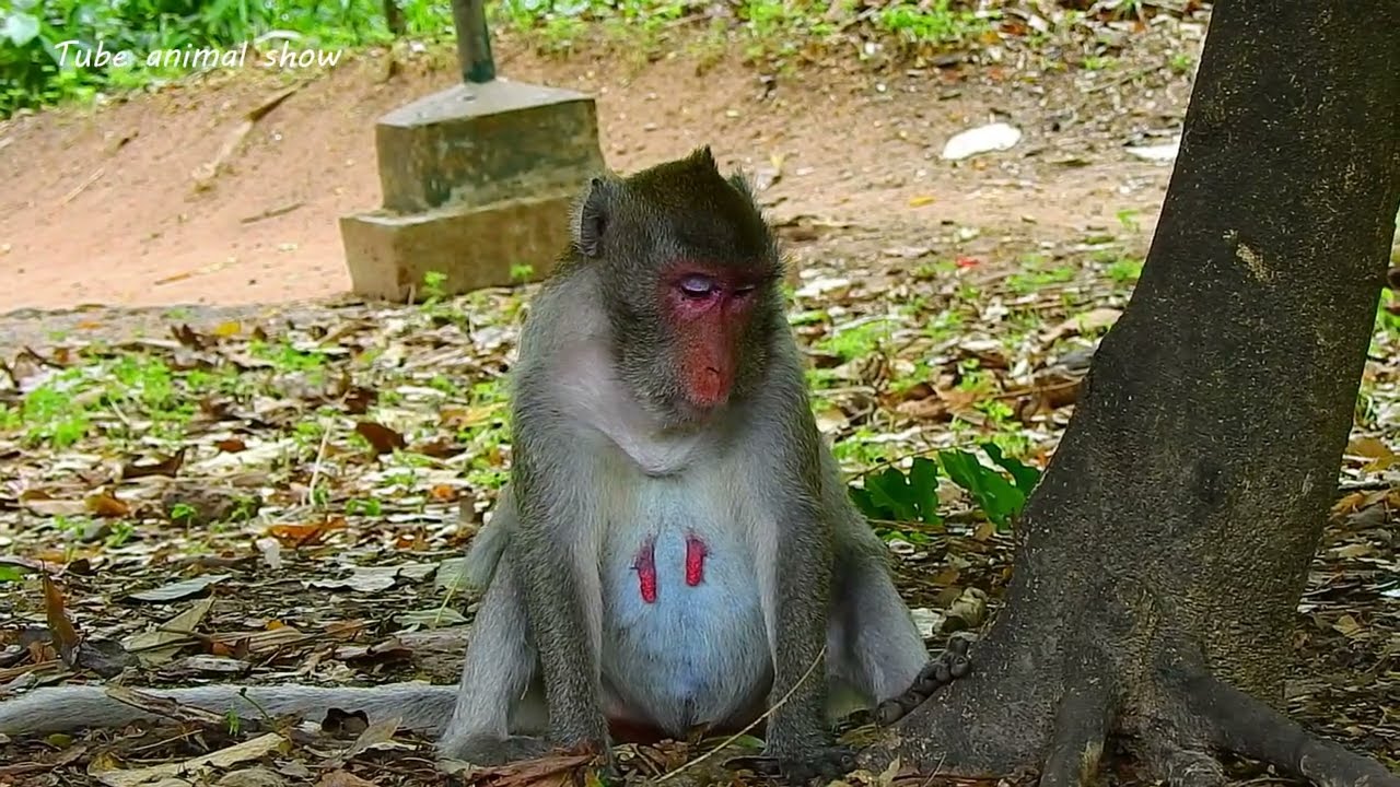 OMG.. Jonna lost access reaching milk when Jane strong defending milk ...