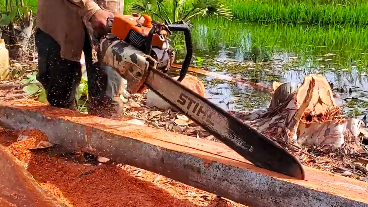 Cutting Down And Splitting The Great Wood With Amazing Woodworking Processing! Tree Felling ...