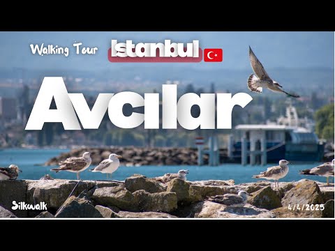Istanbul,Avcilar district Walking Tour🇹🇷