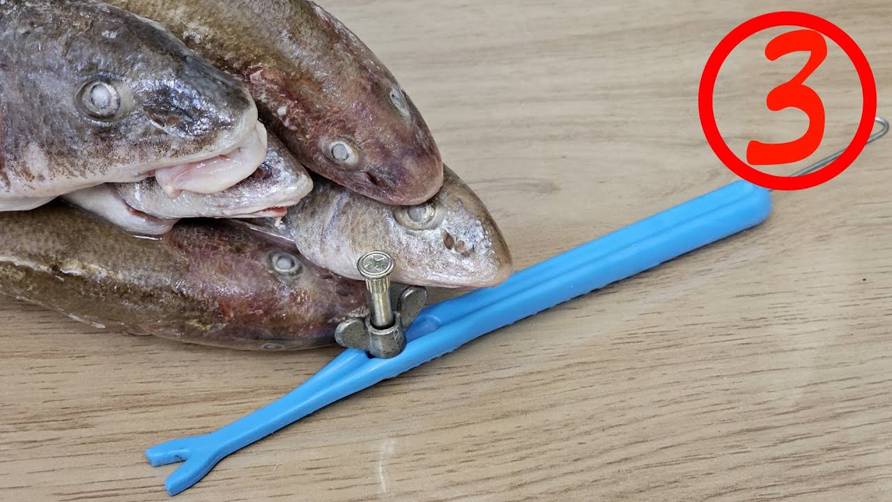 Fishing Tools to make your fishing easier and catch more fish 💯 - YouTube