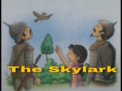 The Skylark Story | Grade 2 CBSE | English | The Skylark Story - YouTube