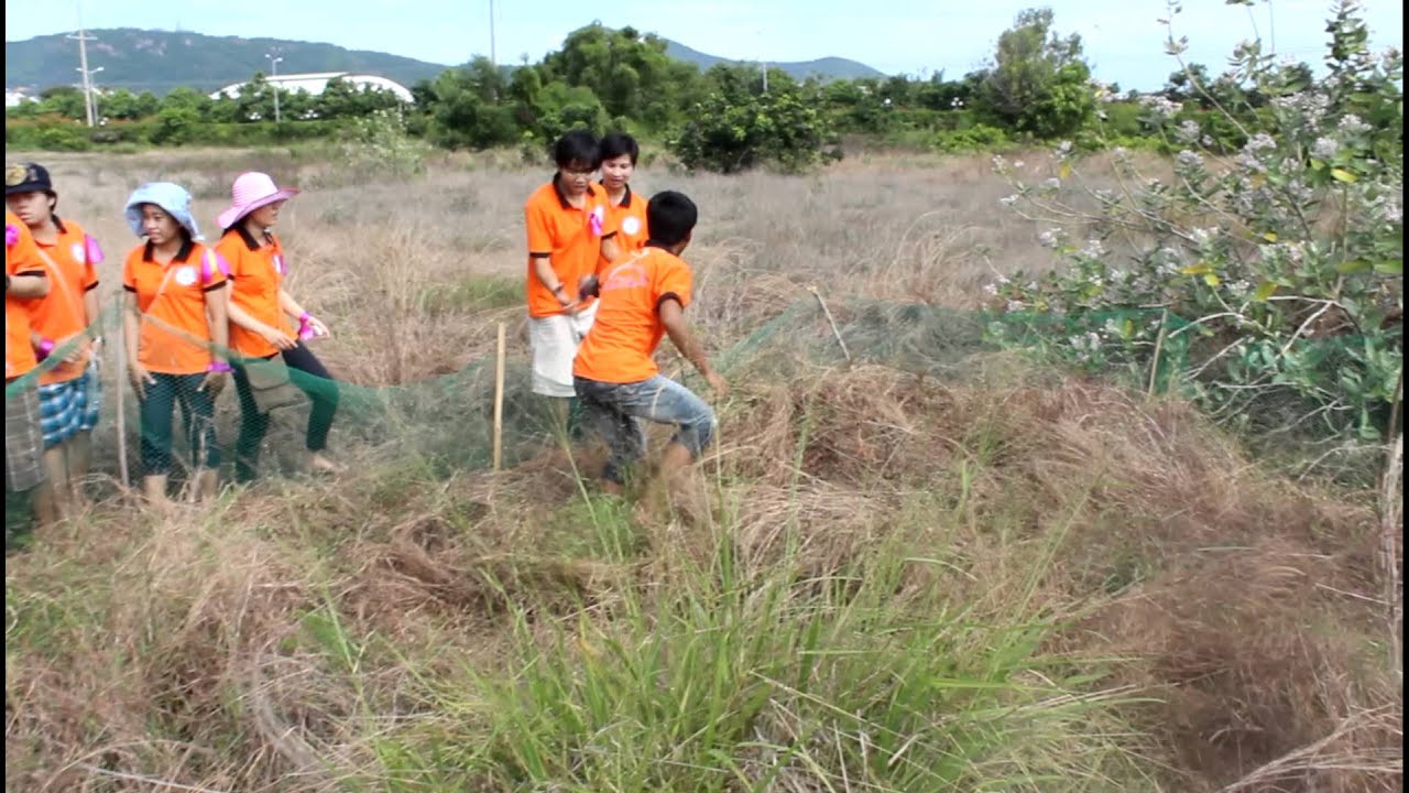 25. Bắt chim cút (1) - YouTube